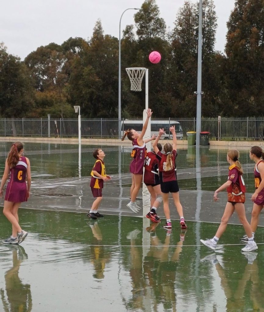 Netball – SSWA
