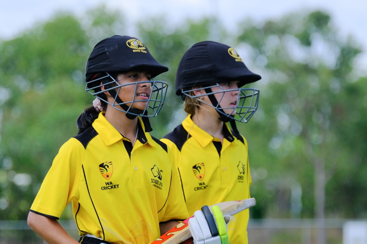 Cricket 15s – SSWA